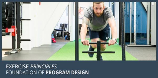 Exercise Principles | Certified Fitness Coach | NZIHF